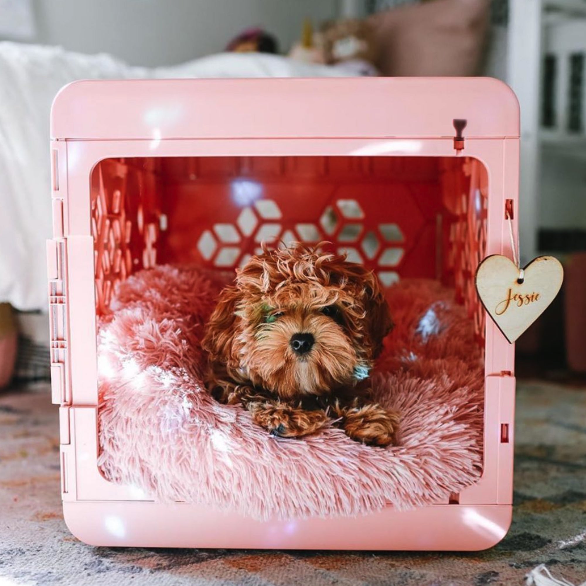 The Art of Crate Training: Making Your Dog's Space a Comfortable ...