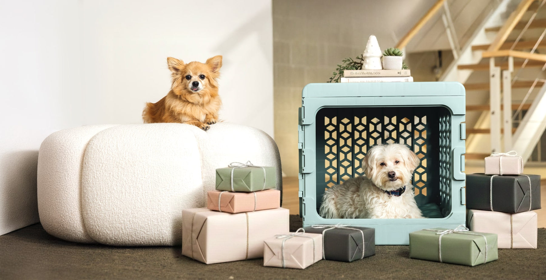 KindTail: Pet Products Designed with Love
