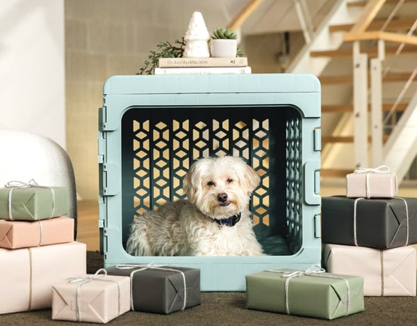KindTail: Pet Products Designed with Love