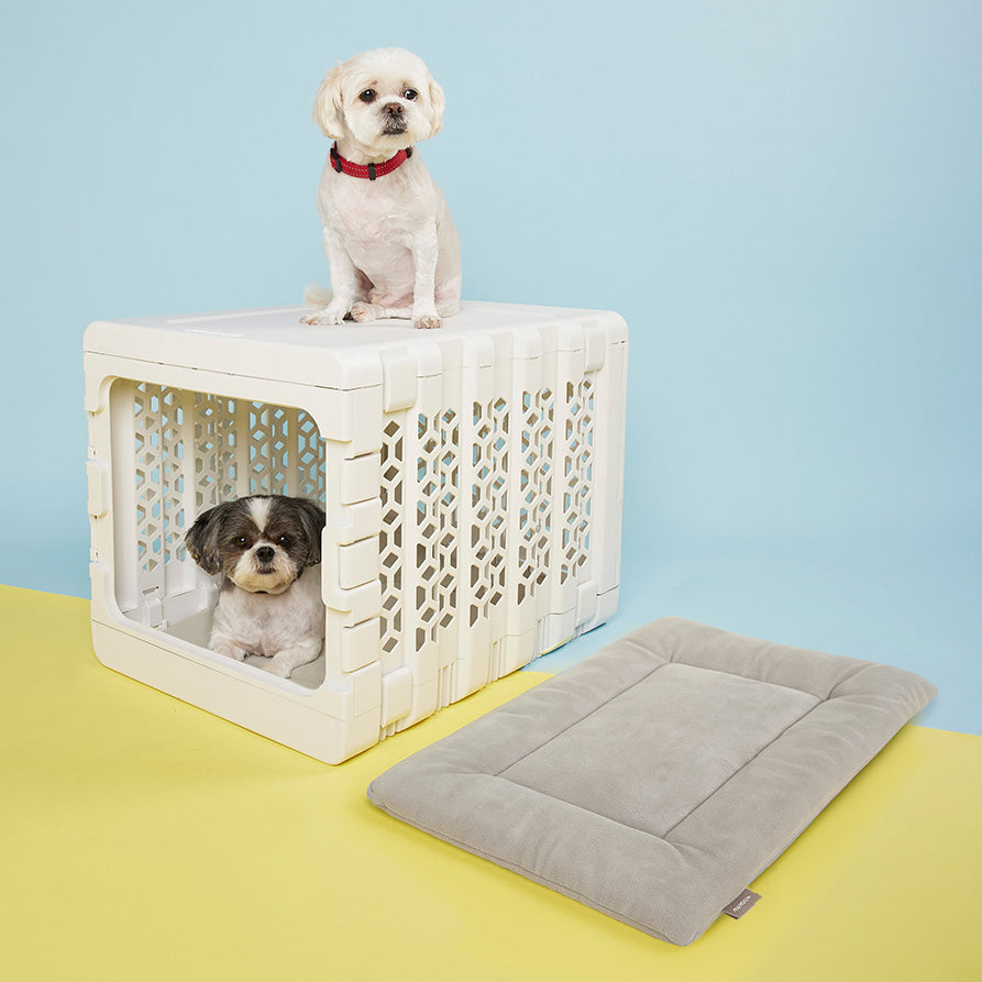KindTail: Pet Products Designed with Love