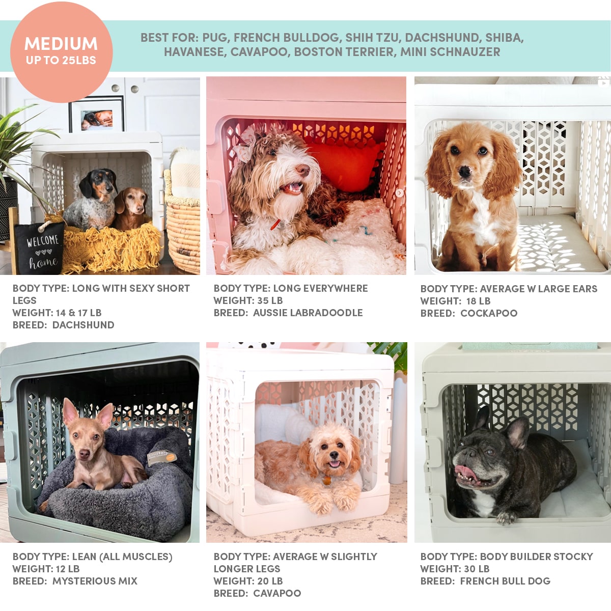 Sizing chart | KindTail