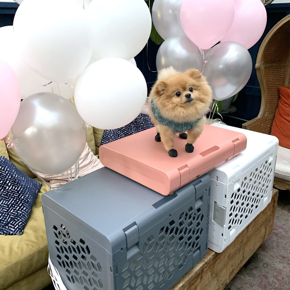 Ambassador Program | KindTail